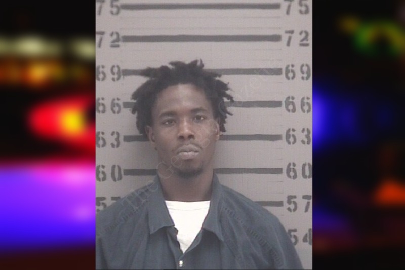 Brandon Stroud — Dougherty County Jail Bookings