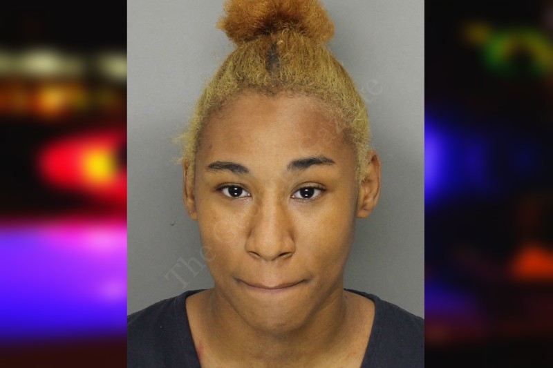 Charlene Thompson — Cobb County Jail Bookings