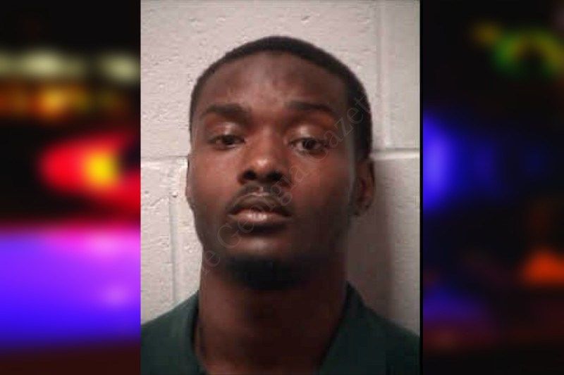 Jaylin Alston — Henry County Jail Bookings