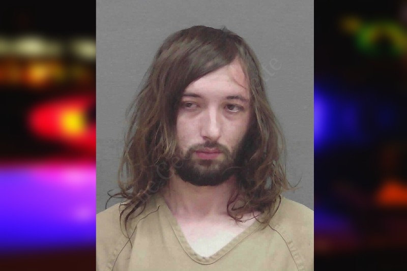 Austin Henson — Gordon County Jail Bookings