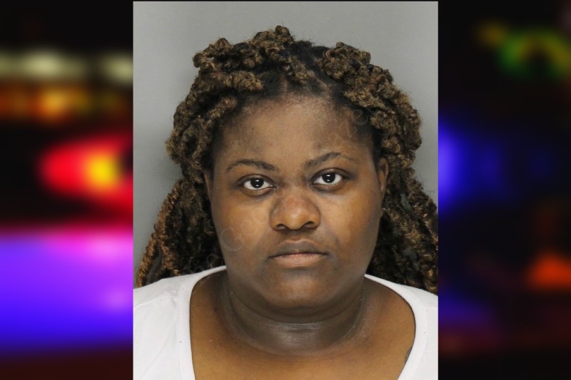 Aneesa Alston | Cobb County