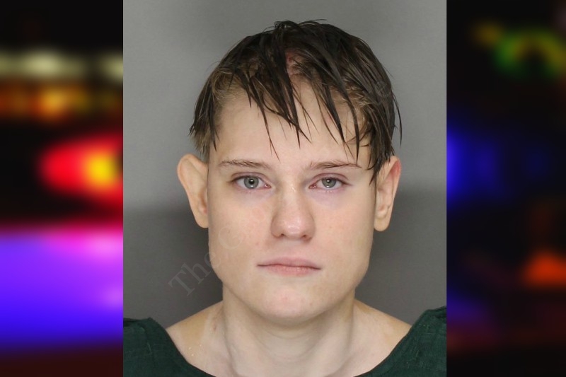 Alyssa Cook — Cobb County Jail Bookings