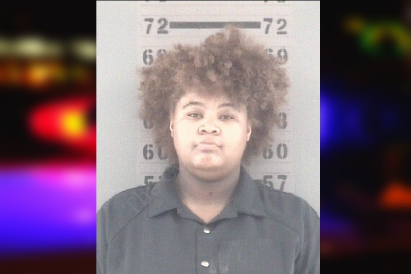Brianna Dawson — Dougherty County Jail Bookings