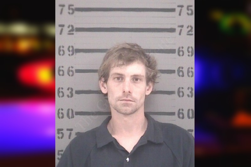 Jamie Doyle — Dougherty County Jail Bookings
