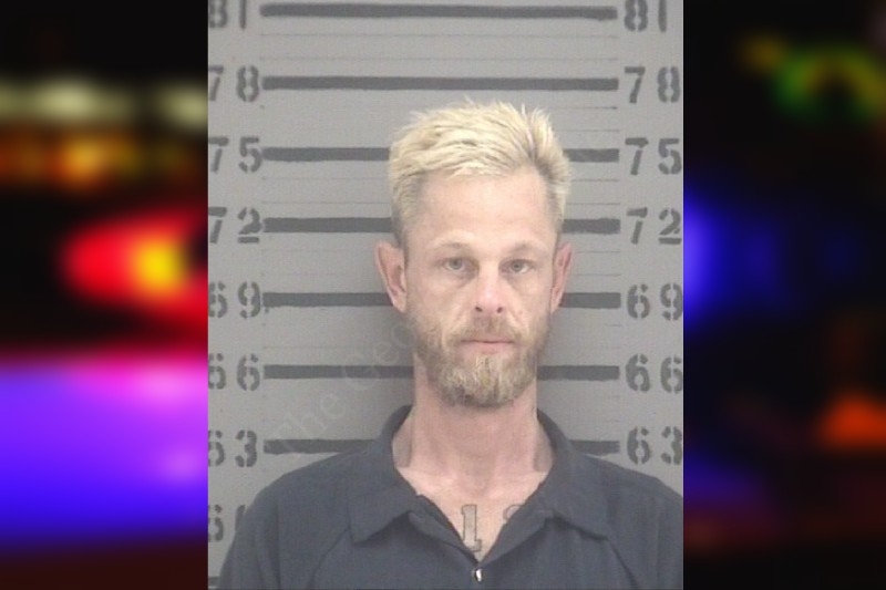 Mickey Hamilton | Dougherty County Jail Bookings