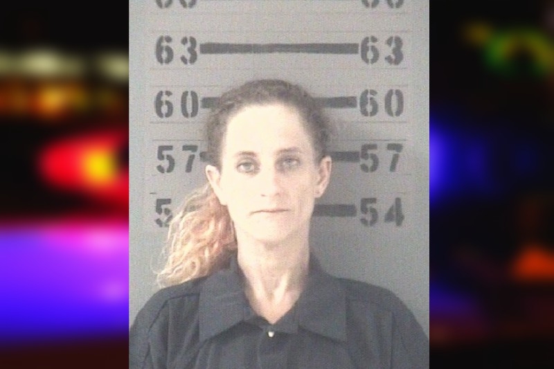 Nichole Heimbruch — Dougherty County Jail Bookings