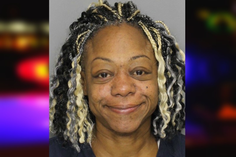 Lenore Mcdonald — Cobb County Jail Bookings