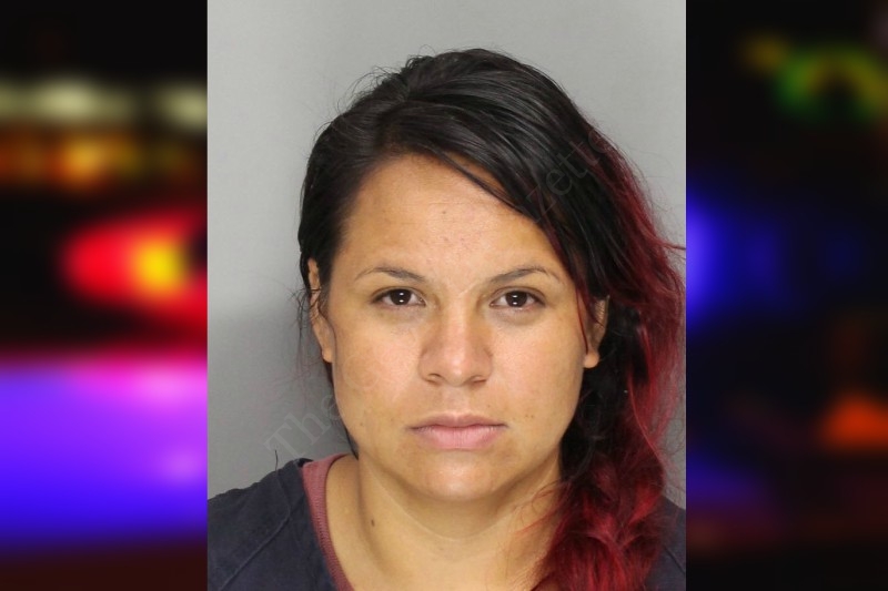 Maria Ponce — Cobb County Jail Bookings