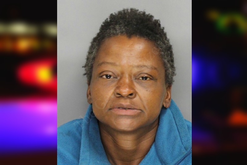 Janice Smith — Cobb County Jail Bookings