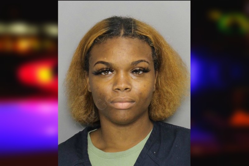 Raven Smith — Cobb County Jail Bookings