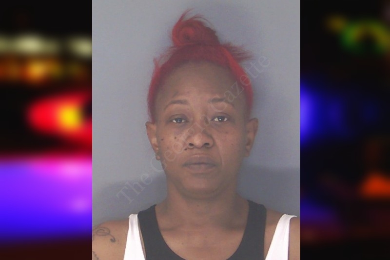 Yolanda Williams — Douglas County Jail Bookings