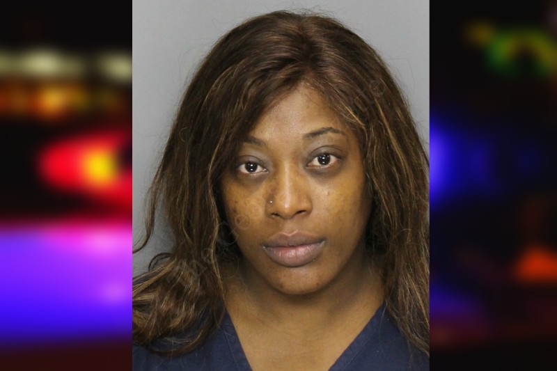 Erica Wright — Cobb County Jail Bookings