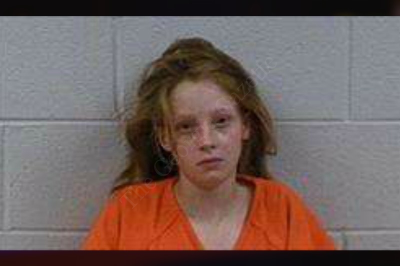 Ashley Mason — Polk County Jail Bookings