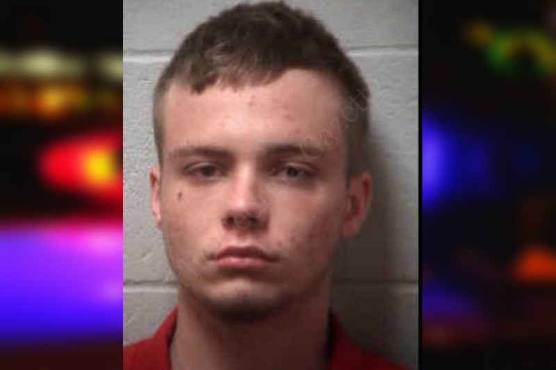 Austin Jarrett — Henry County Jail Bookings