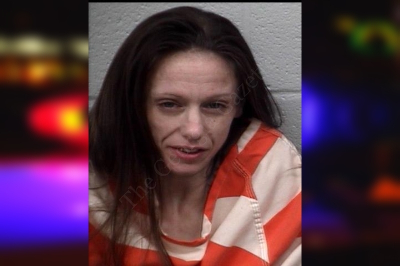 Angel Adkins — Paulding County Jail Bookings