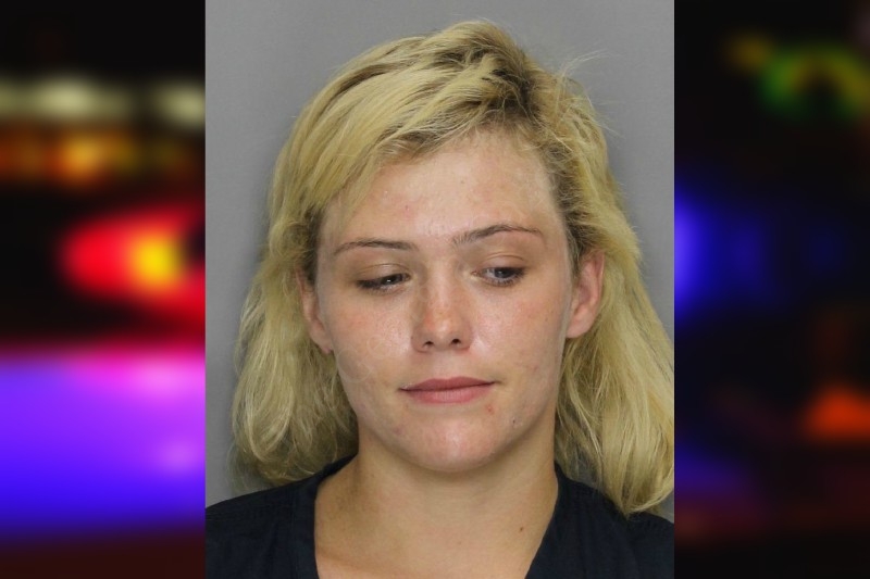 Ansley Boone — Cobb County Jail Bookings