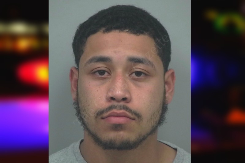 Brando Castaneda — Gwinnett County Jail Bookings