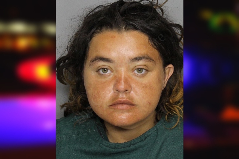 Danielle Duke — Cobb County Jail Bookings