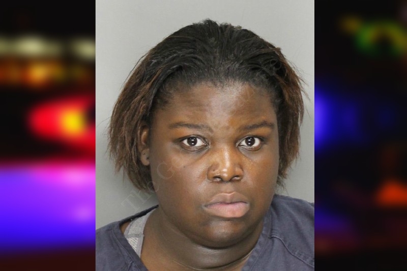 Yasmine George — Cobb County Jail Bookings