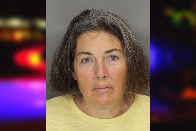 Leiah Gibson — Cobb County Jail Bookings