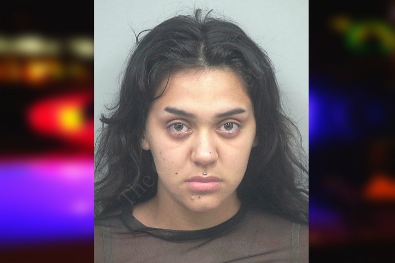 Bridget Hernandez — Gwinnett County Jail Bookings