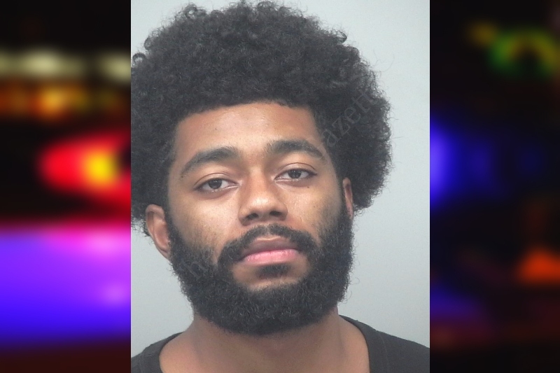 David Mattsson-Boze — Gwinnett County Jail Bookings