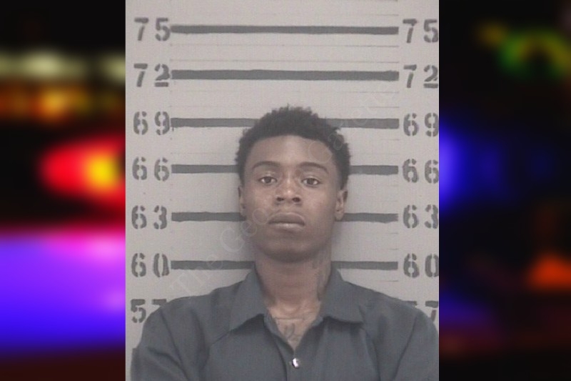 Javin Ross — Dougherty County Jail Bookings