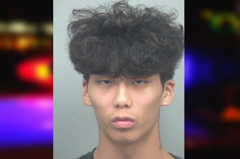 Joshua Suh — Gwinnett County Jail Bookings