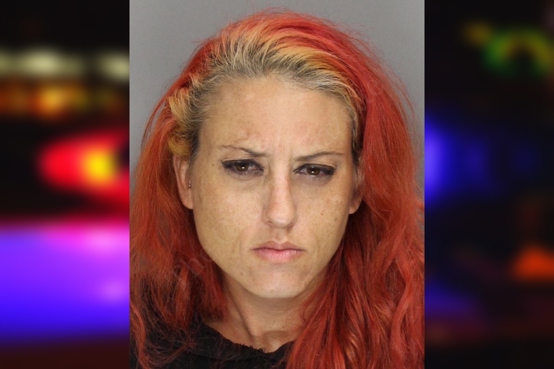 Daphne Thompson — Cobb County Jail Bookings