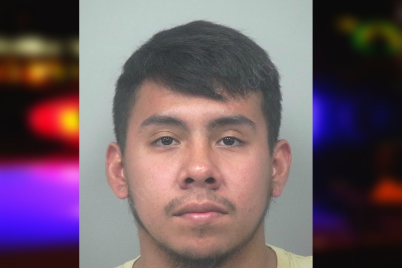 Brandon Vitela — Gwinnett County Jail Bookings