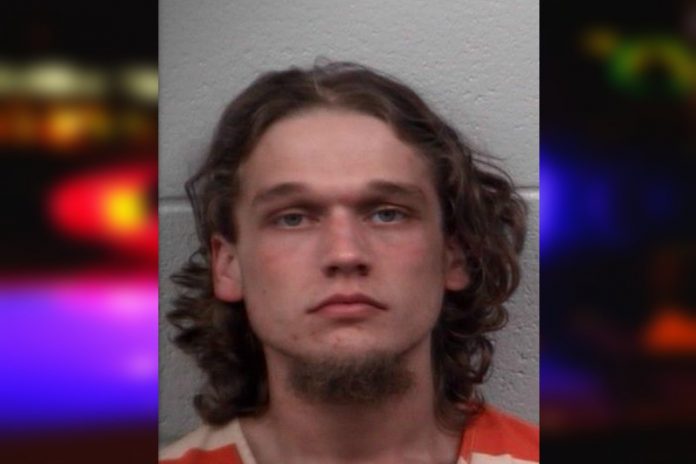 Alexander Fidler — Paulding County Jail Bookings