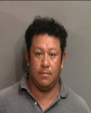 Glynn County, GA Mugshots – September 14, 2020 — Glynn County Jail Bookings