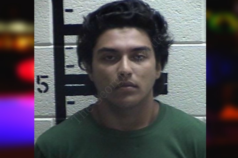 Austin Leon — Murray County Jail Bookings