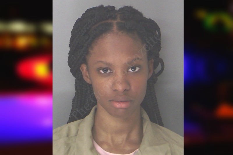 Siani Wilson — Douglas County Jail Bookings