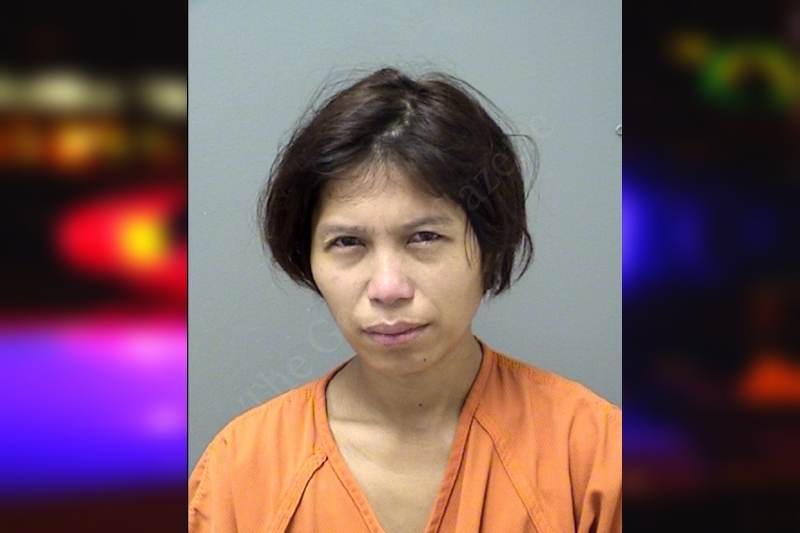 Mercy Fabillar — Cherokee County Jail Bookings