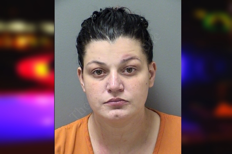 Ashley Rabidou — Cherokee County Jail Bookings