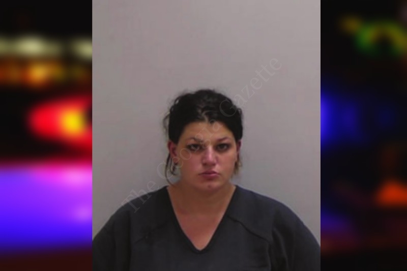 Ashley Rabidou — Bartow County Jail Bookings