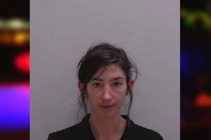 Rachel Bumgarner — Bartow County Jail Bookings