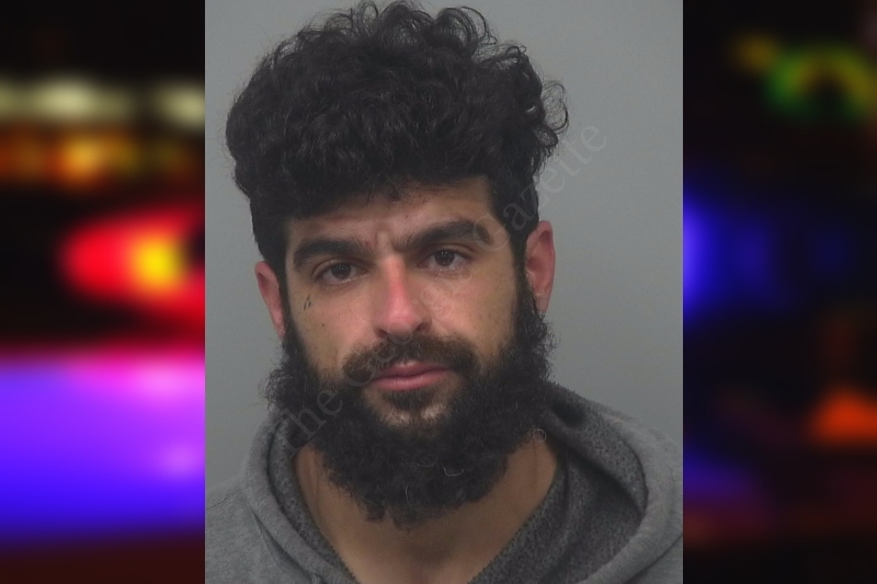 Jonathan Ajizian — Gwinnett County Jail Bookings