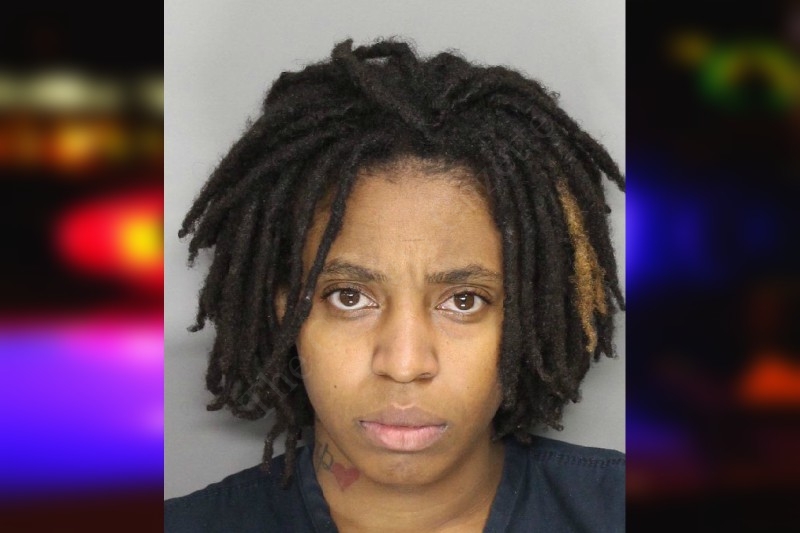 Briale James — Cobb County Jail Bookings