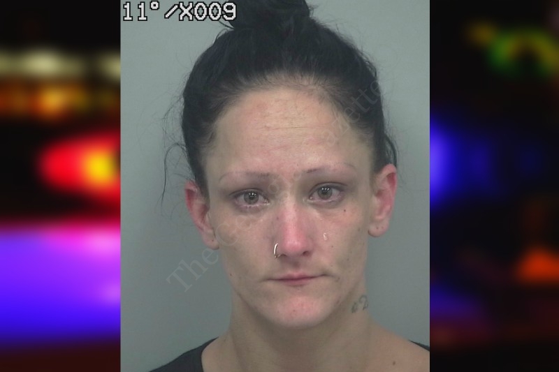 Chelsea Lewis — Gwinnett County Jail Bookings