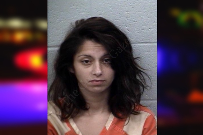 Holly Mullis — Paulding County Jail Bookings