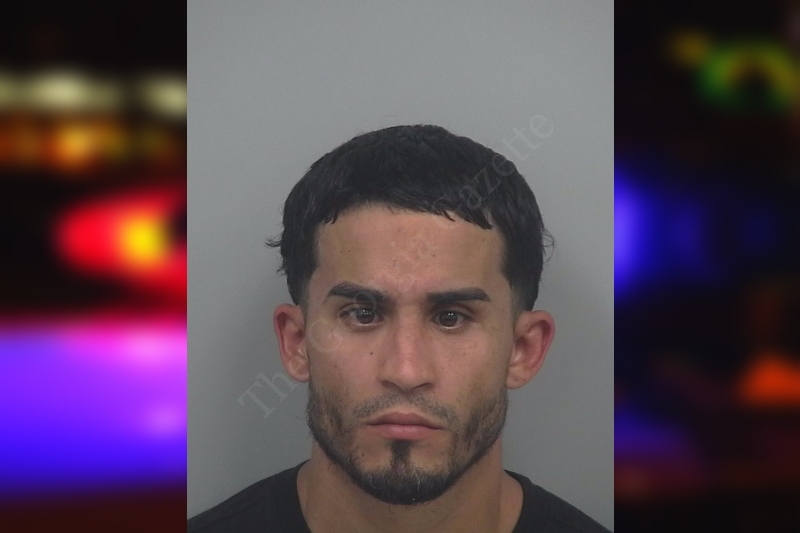 Angel Nieves-Qwiles | Gwinnett County