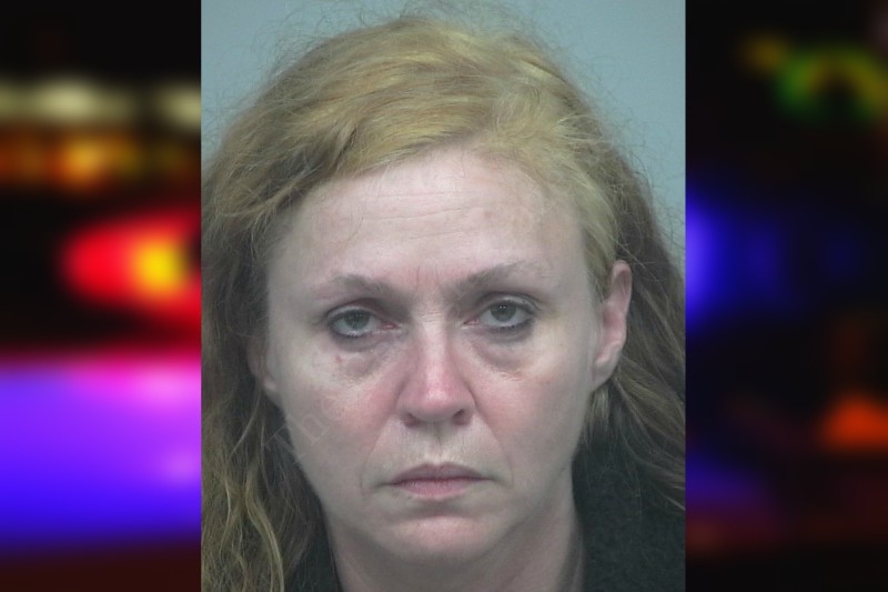 Aimee Peace — Gwinnett County Jail Bookings