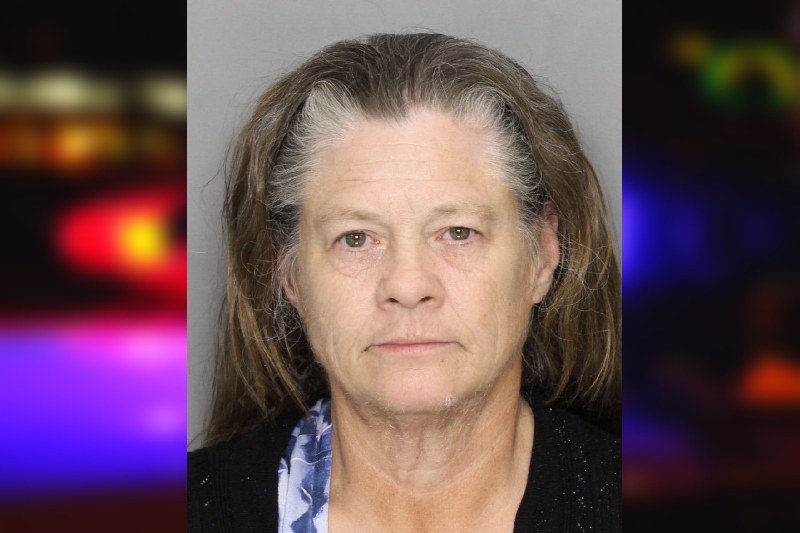 Debra Ray — Cobb County Jail Bookings