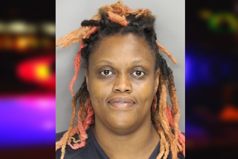 Sharena Seay — Cobb County Jail Bookings