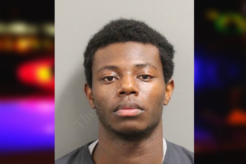 Danielle Sewell — Cobb County Jail Bookings