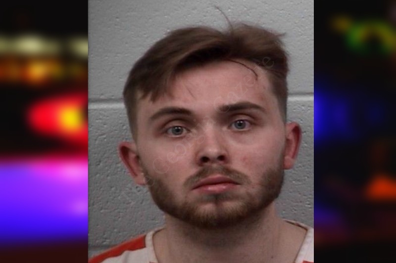 Tyler Adkins — Paulding County Jail Bookings