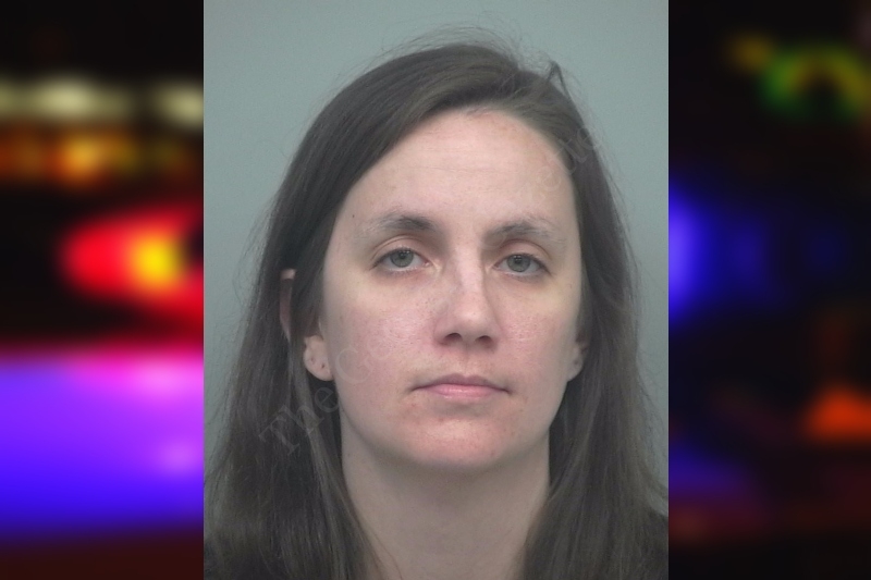 Rachel Wallace — Gwinnett County Jail Bookings