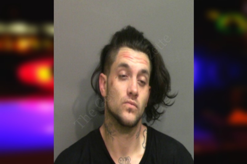 William Laroche — Glynn County Jail Bookings